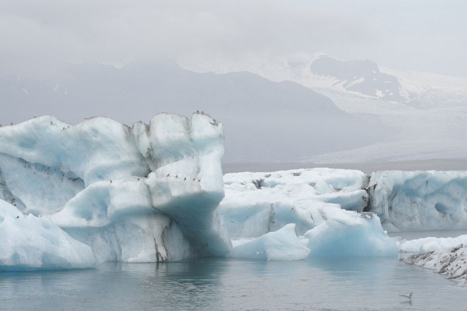 A very full day | walkingMarj | Blipfoto