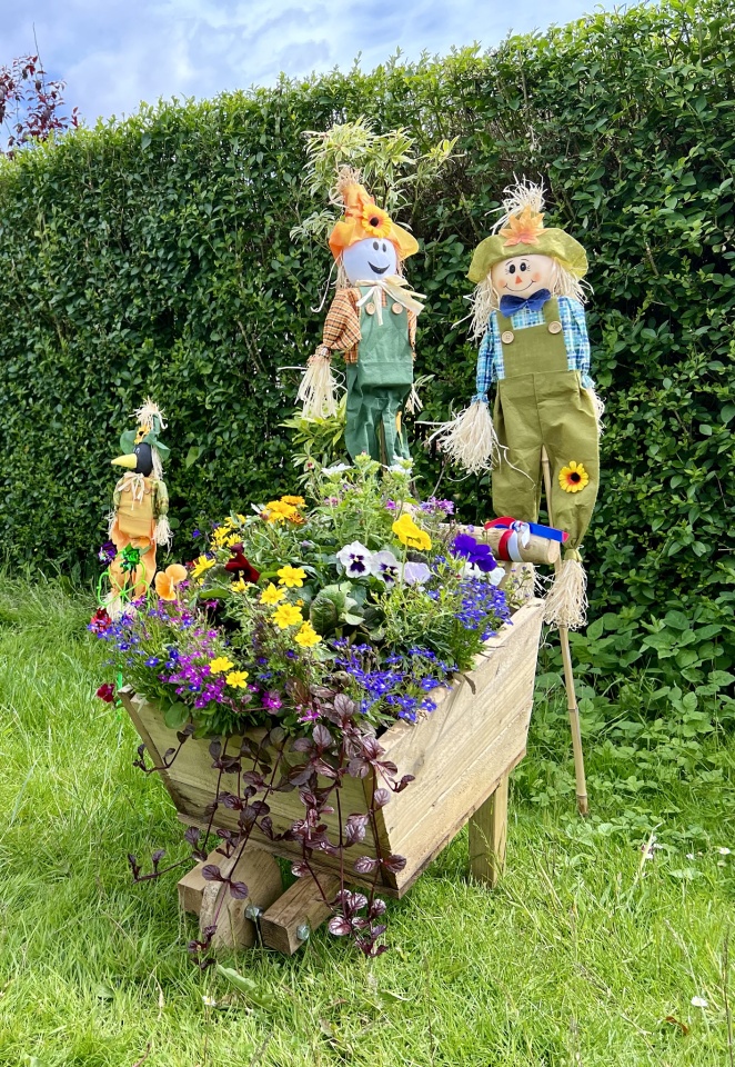 New Level | Romay | Blipfoto