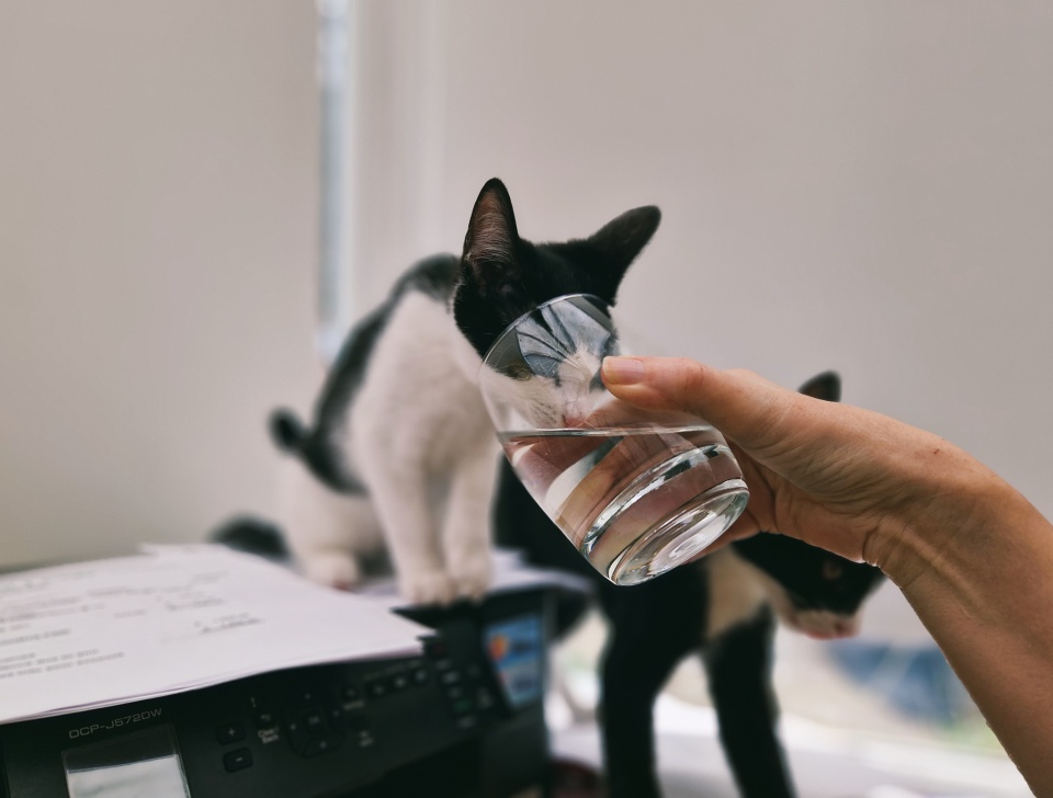 thirsty? | spishy | Blipfoto