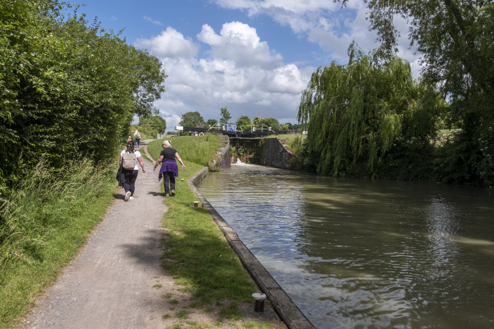 Canal Walk and Rescue | AnnieAndChris | Blipfoto