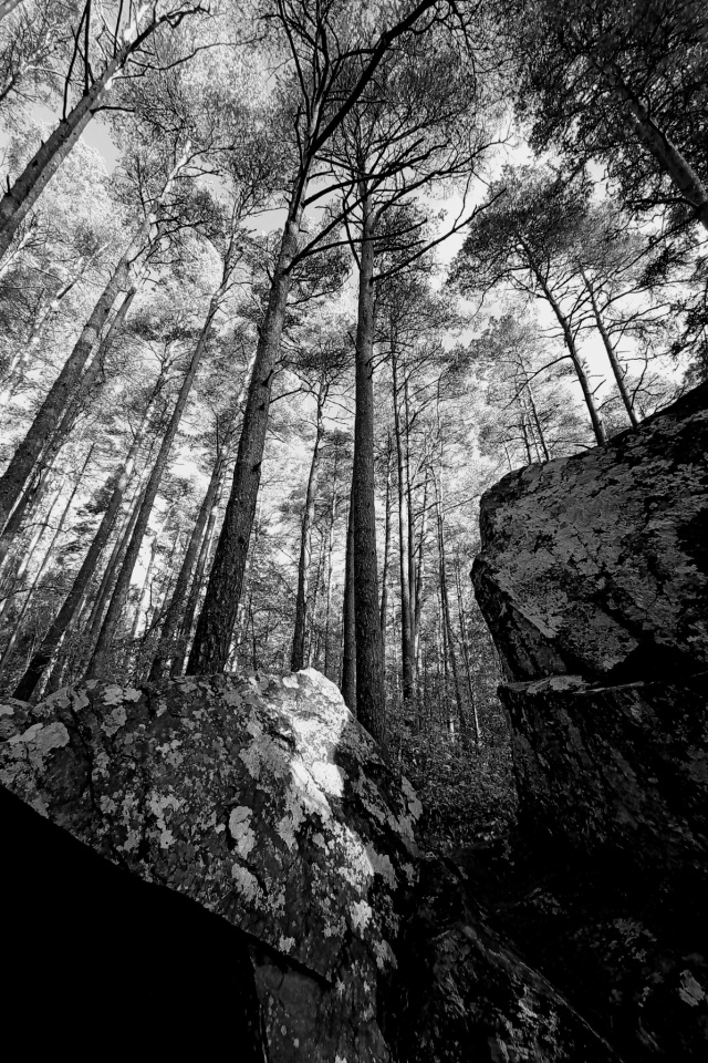 Birks | middleman | Blipfoto