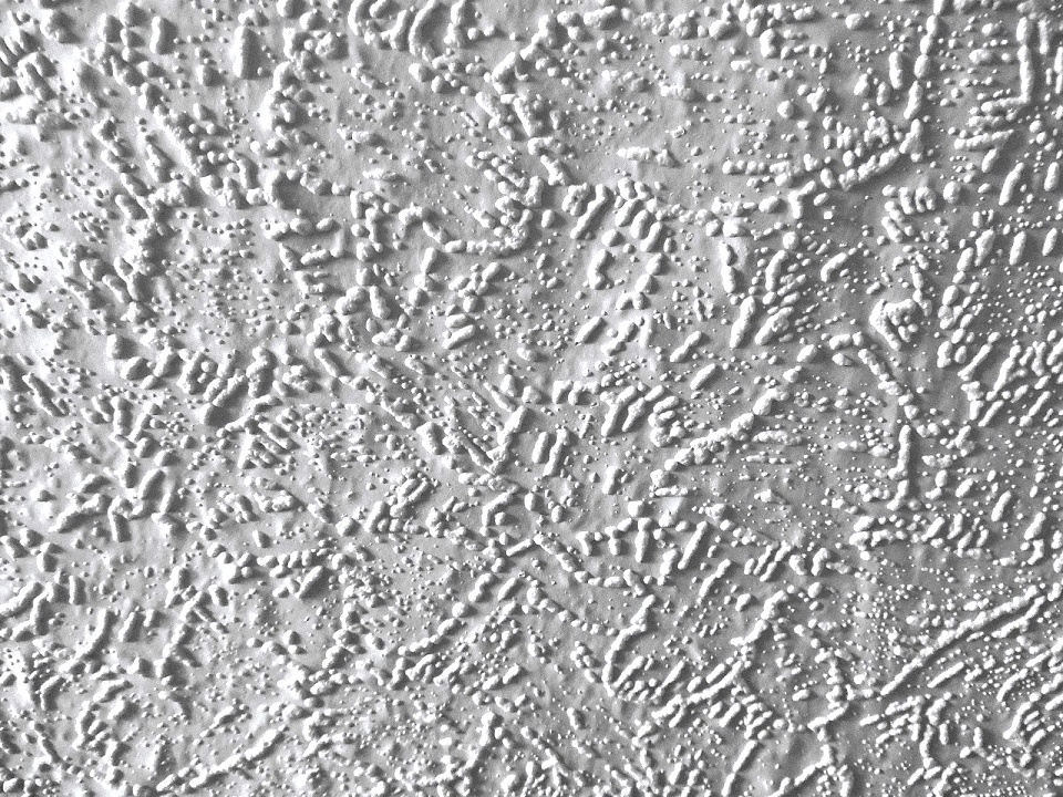 Mono Monday - Texture | craftylady | Blipfoto