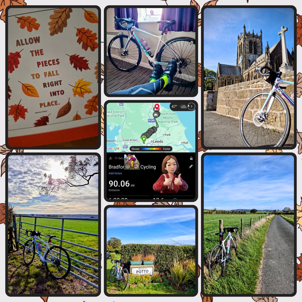 Spinning a Yarm! | yeeeeed | Blipfoto