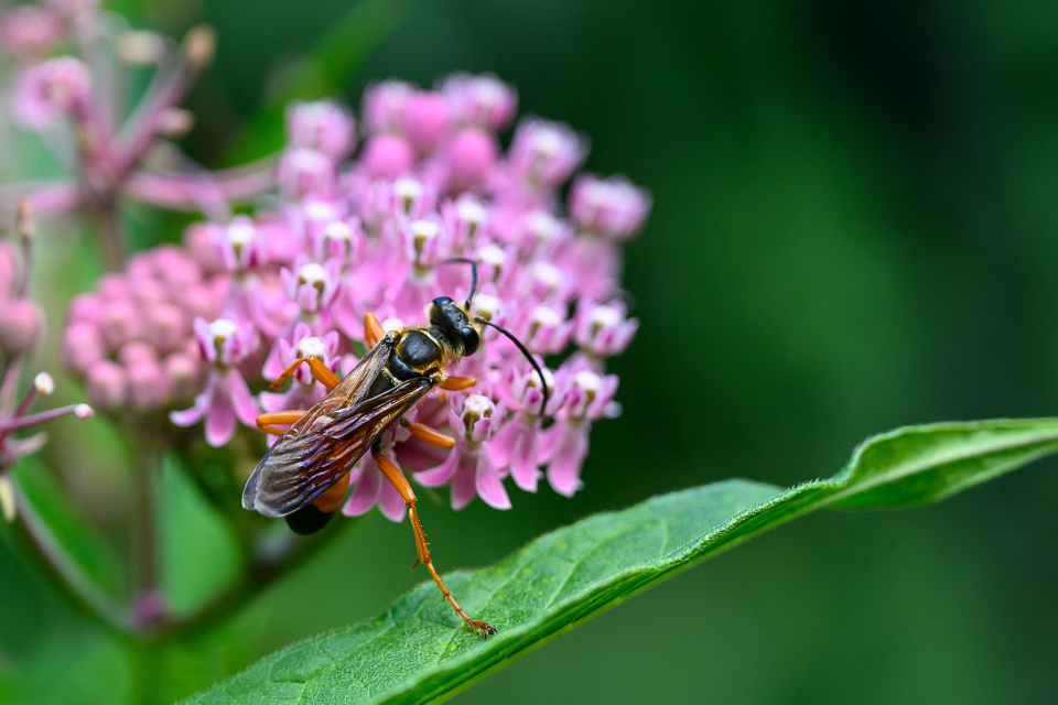 Watch Your Step! | dbifulco | Blipfoto