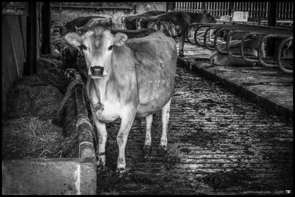 Return to ... | RobinDown | Blipfoto