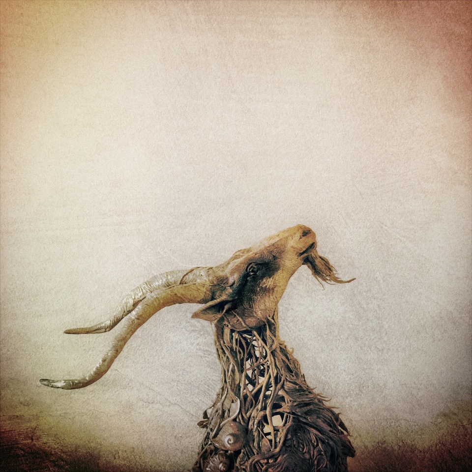 the goat | sk | Blipfoto