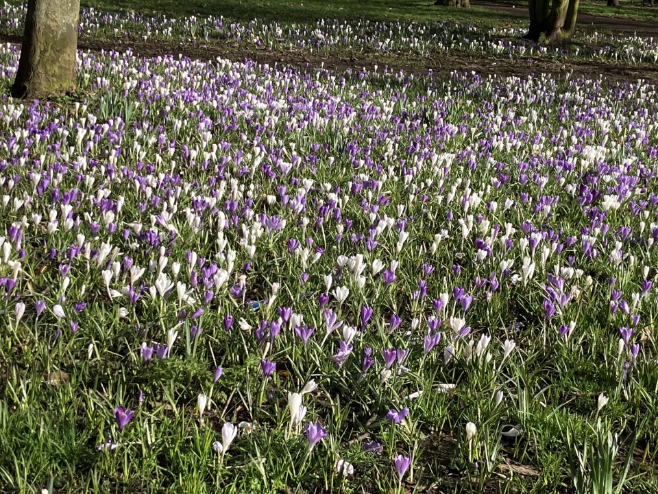 Colour in the park | Jaybay | Blipfoto