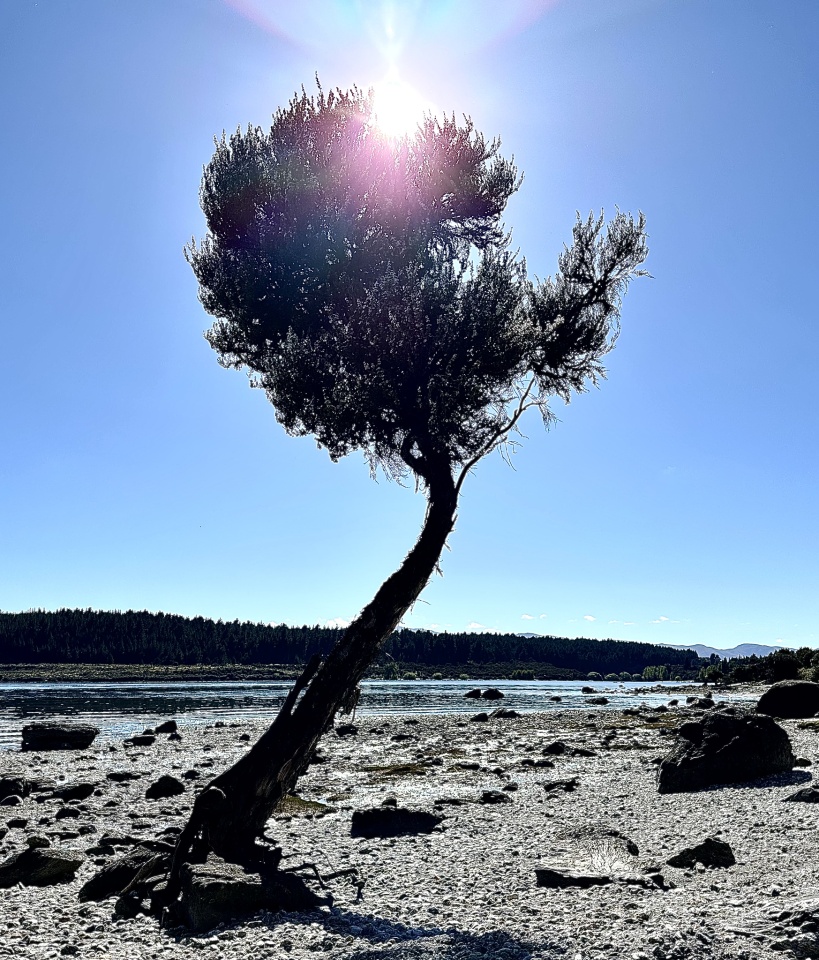 Sun's up...Morning walk | TussockTales | Blipfoto