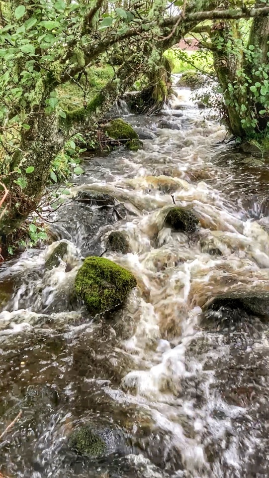 A stream becomes a river... | Damnonii | Blipfoto