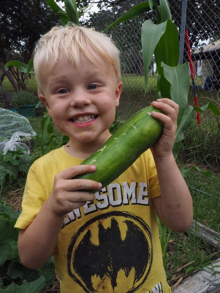 Henry and the Super Cucumber | isbi | Blipfoto