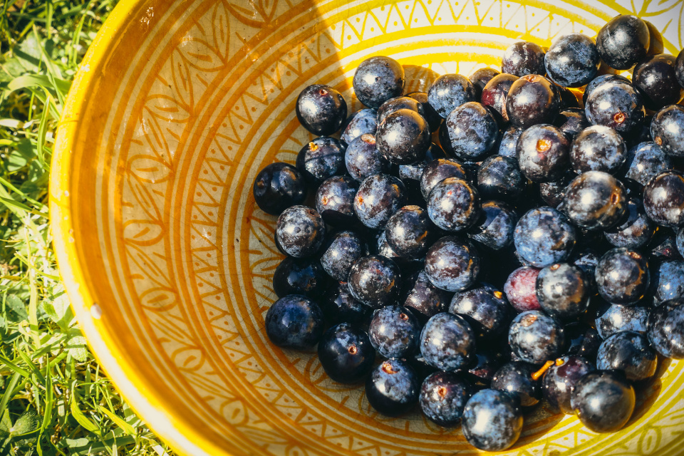 Sloe Gin | freespiral | Blipfoto