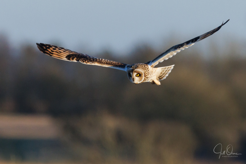 Locked and loaded | JDO | Blipfoto