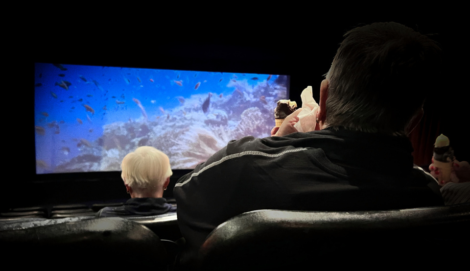 Ice... | Miffy | Blipfoto