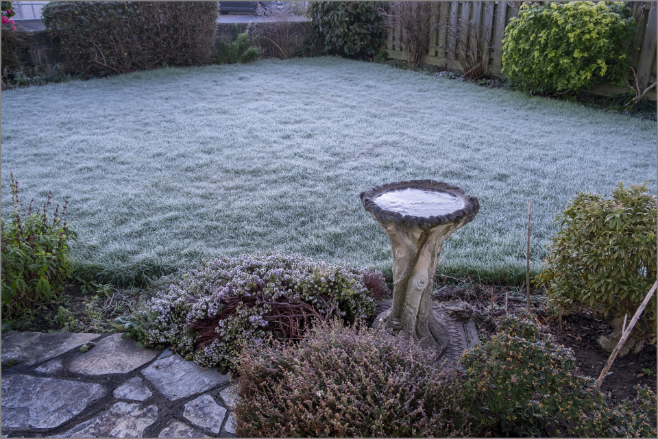 First Frost.......... | Terrifo | Blipfoto