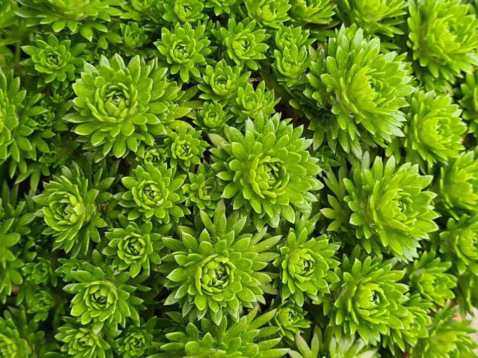 EB | EllyJay | Blipfoto