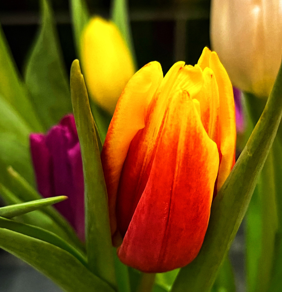 Embarrassing moments | Libra | Blipfoto