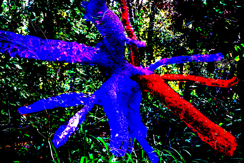 Playing for Abstract Thursday | bugsman | Blipfoto