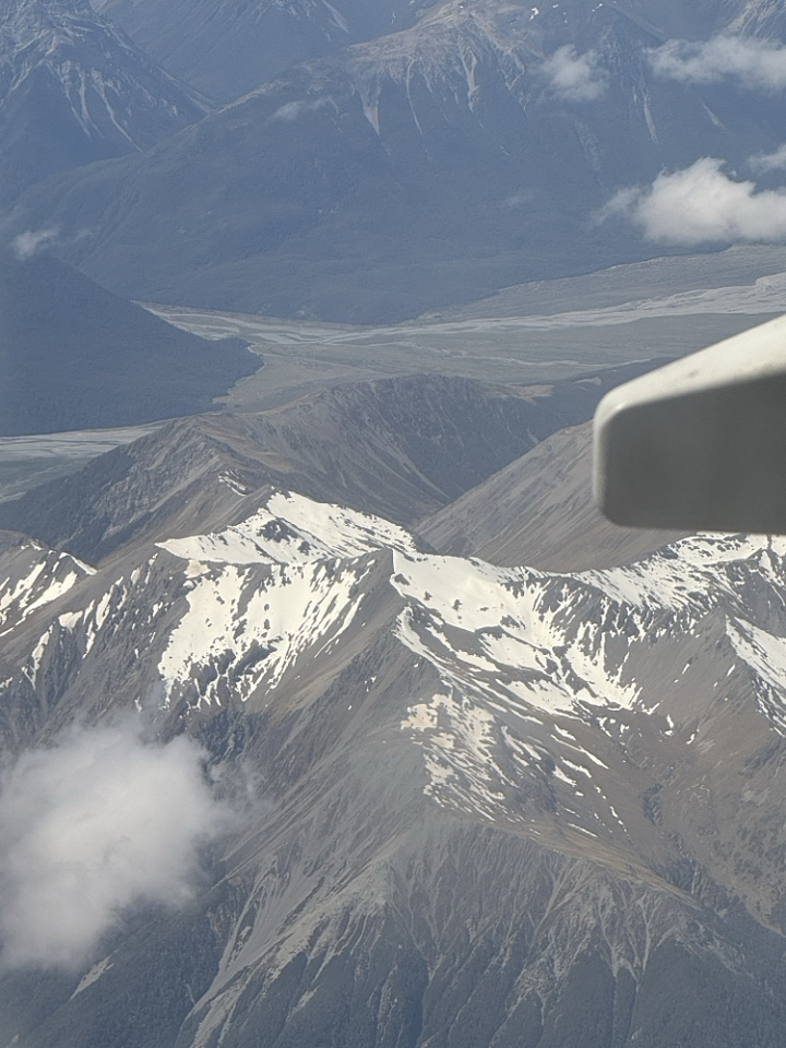 Finally! | WalkingWombat | Blipfoto