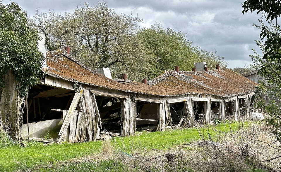 Dereliction | Technophobe | Blipfoto