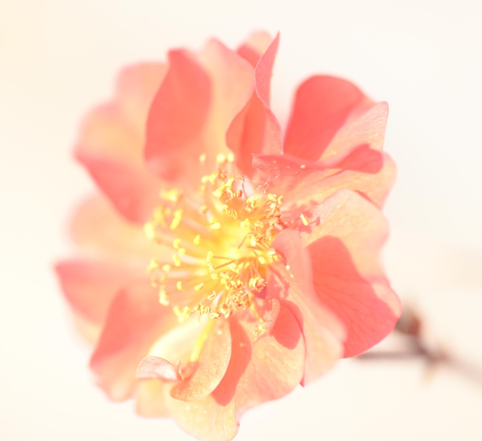 Oops! | Stiffknees | Blipfoto