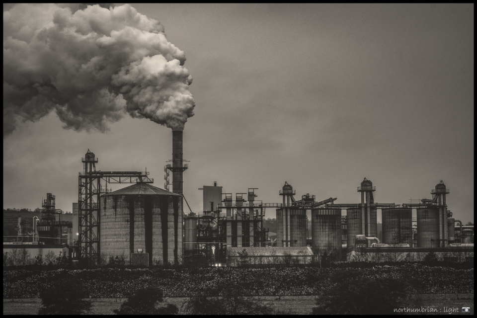 Egger ... | RobinDown | Blipfoto