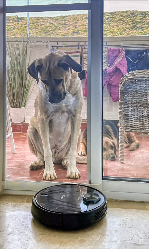 Not At All Sure | ElCid | Blipfoto