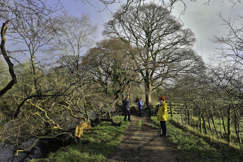 Along the Rawthey | Puffin | Blipfoto