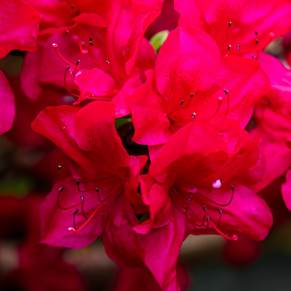 Last minute blip | steveng | Blipfoto