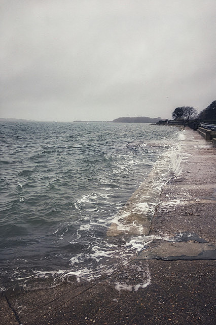 Damp December Day | LifeLines | Blipfoto