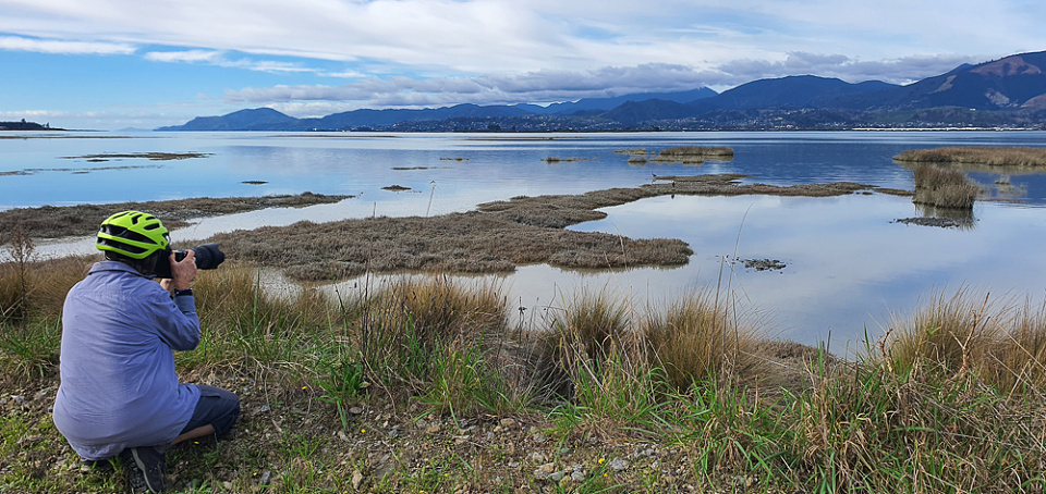 Cycle Tour, Waimea Inlet | twigs | Blipfoto