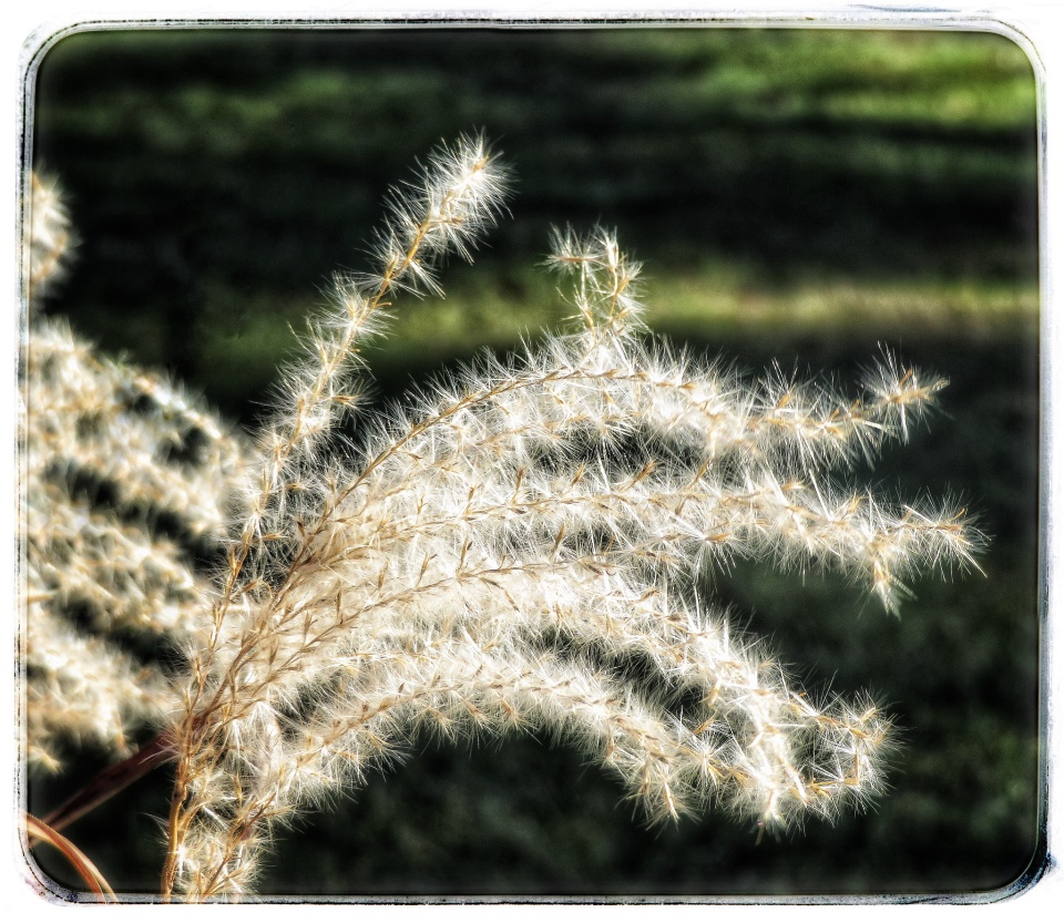 Fuzzy Fingers | Memories4Me | Blipfoto