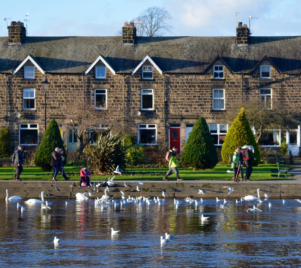 Feed the Birds | mambo | Blipfoto