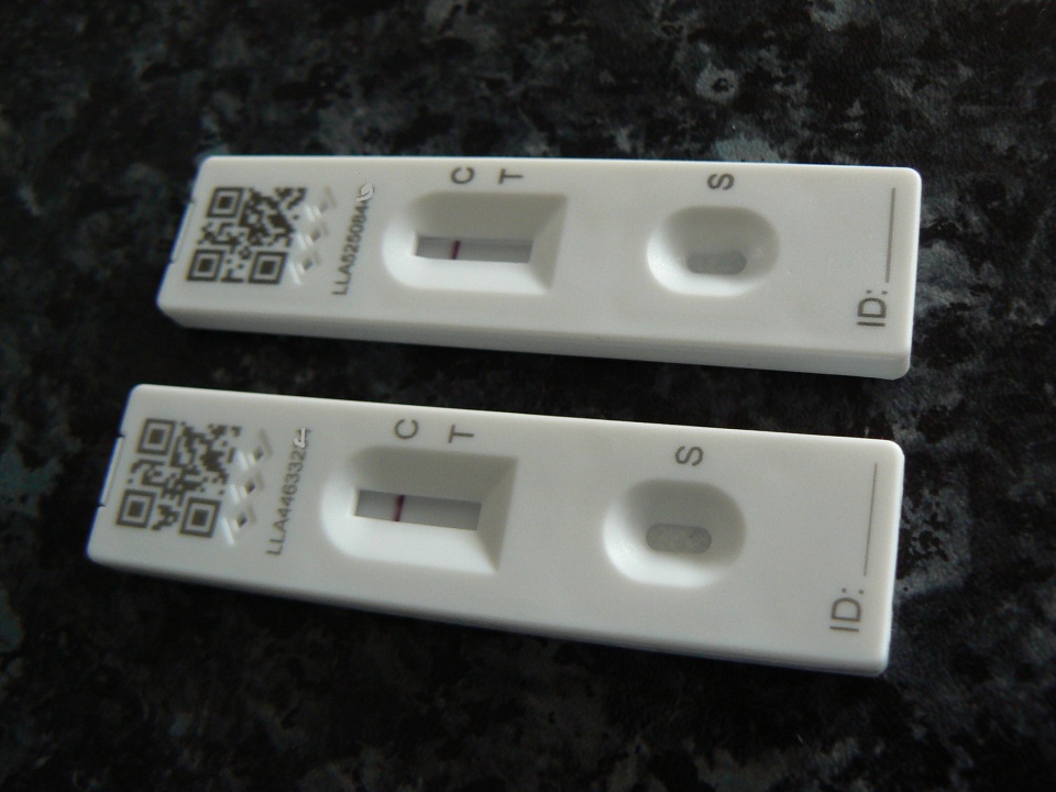 Lateral Flow tests done! | endangeredspec | Blipfoto