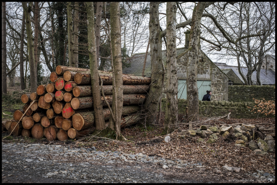 Logging off ... | RobinDown | Blipfoto