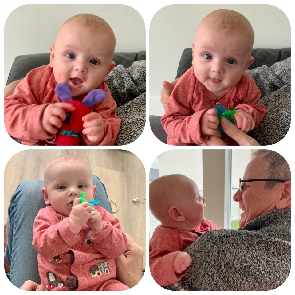 My great grandson fiachra. | sunflower | Blipfoto