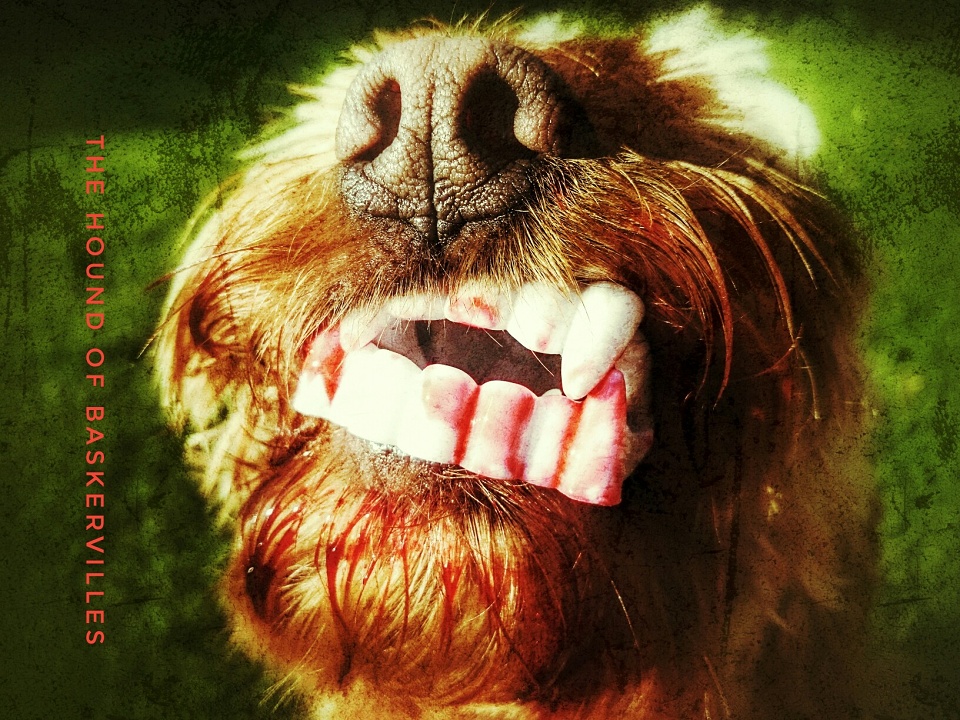 Terrifying Halloween hound... | Petersburg | Blipfoto