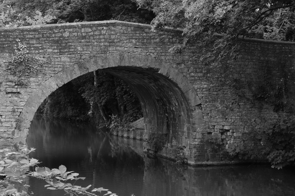 Dolphin Bridge | brentastic | Blipfoto