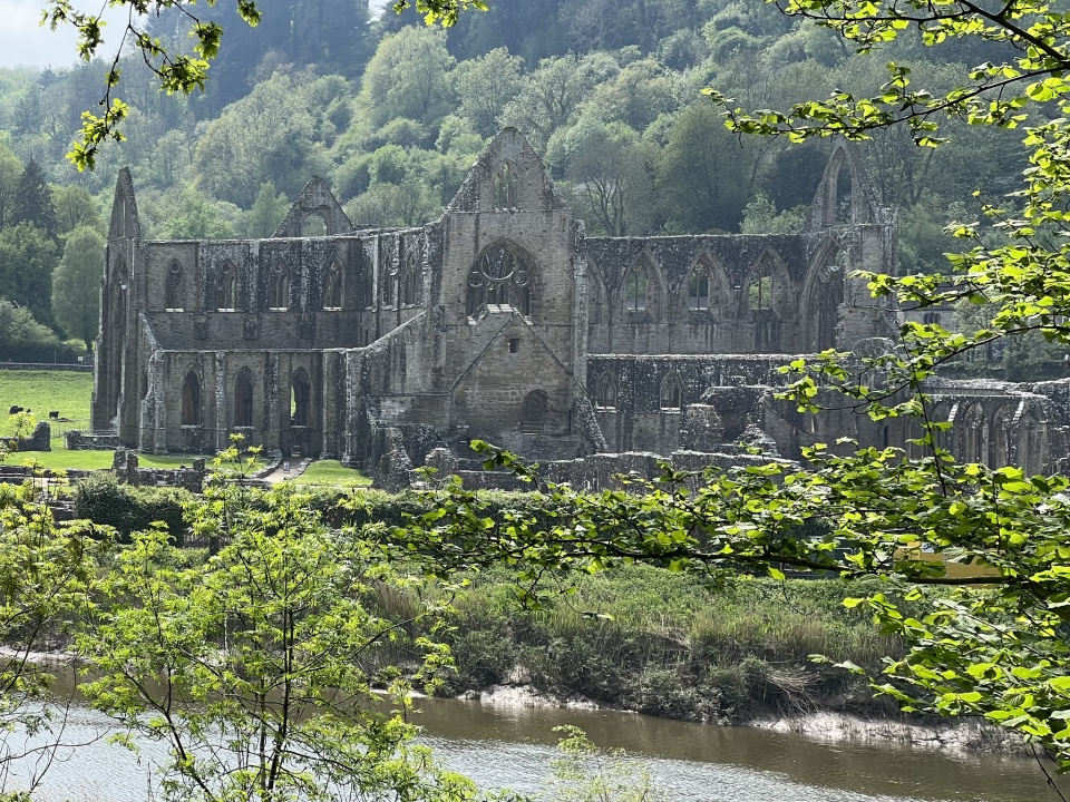 A view of Tintern Abbey from the cycle path | Happy_Janwen | Blipfoto