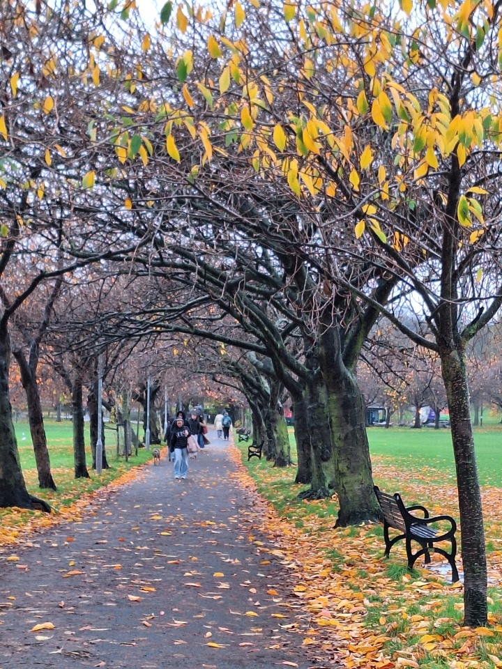 Jawbone walk | SooM57 | Blipfoto