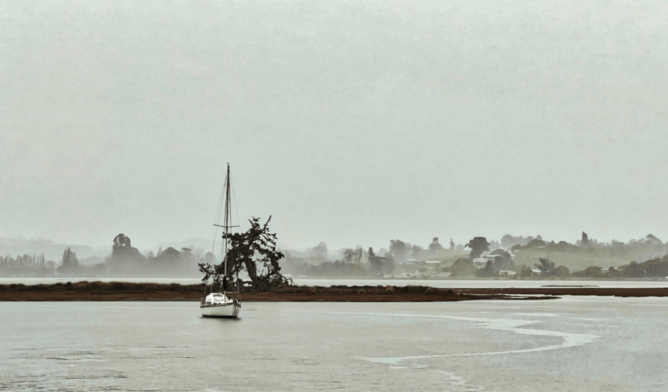 Persistent... | Miffy | Blipfoto