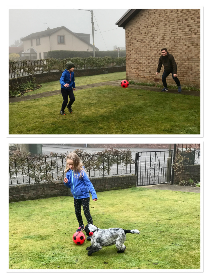 Fun and frolics in the garden. | JohnD | Blipfoto