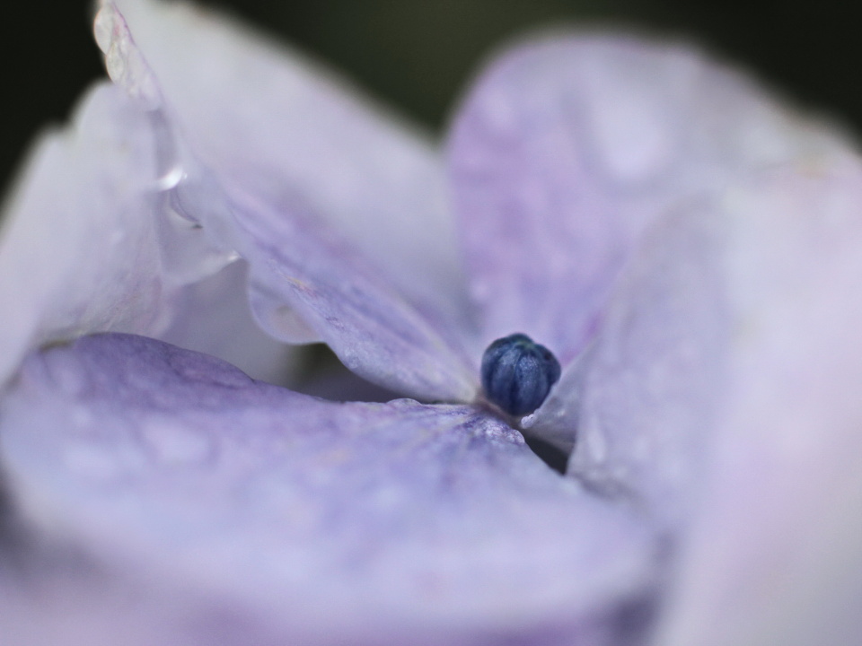 Damp... | rainie | Blipfoto