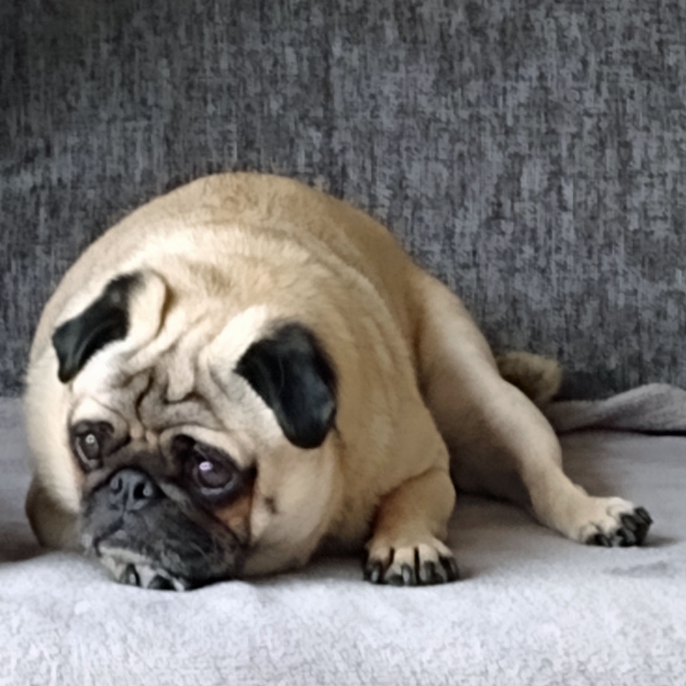 Sharing the first night | PicturePoems | Blipfoto