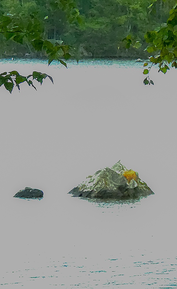 Nesting place | ArjaLeppaenen | Blipfoto