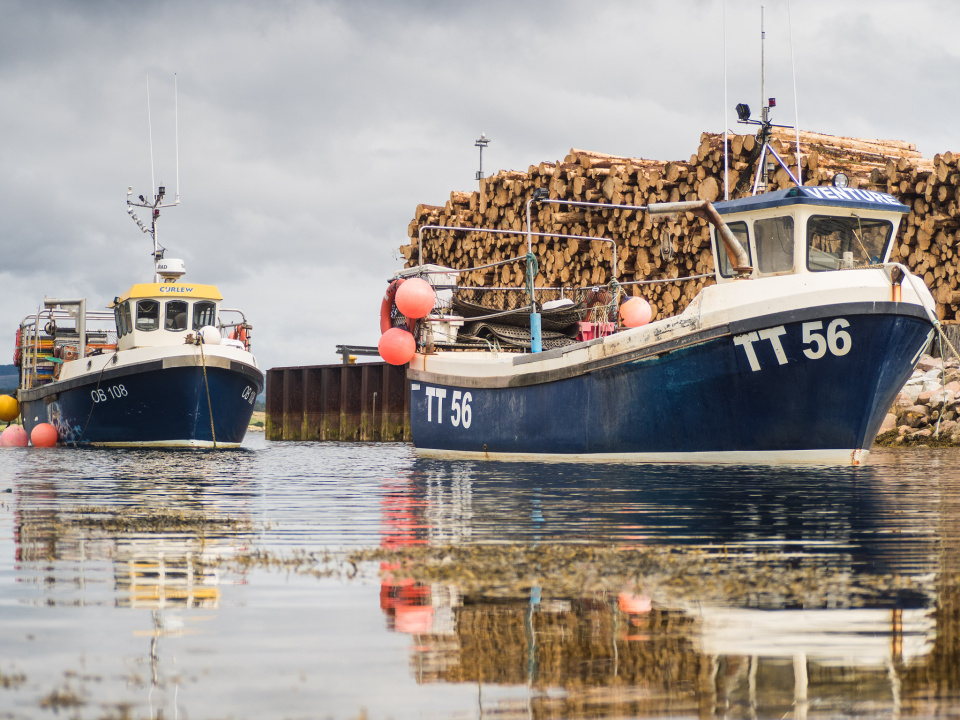 TT56 | MotherShipton | Blipfoto