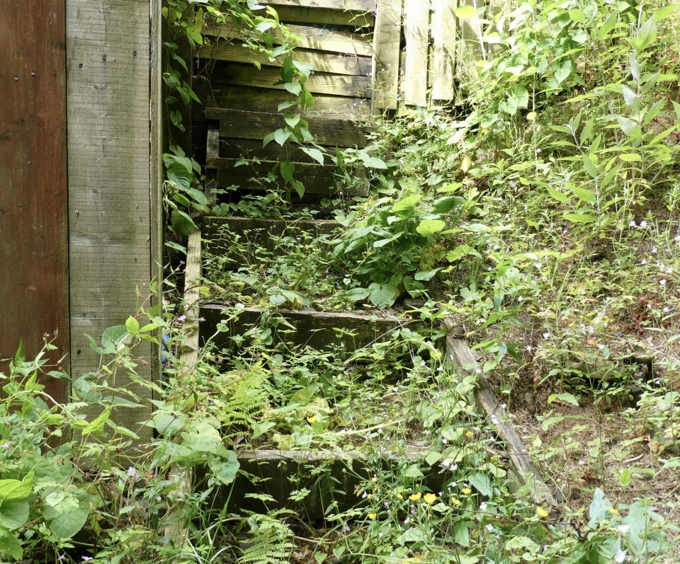 Steps to Nowhere | CherryR | Blipfoto