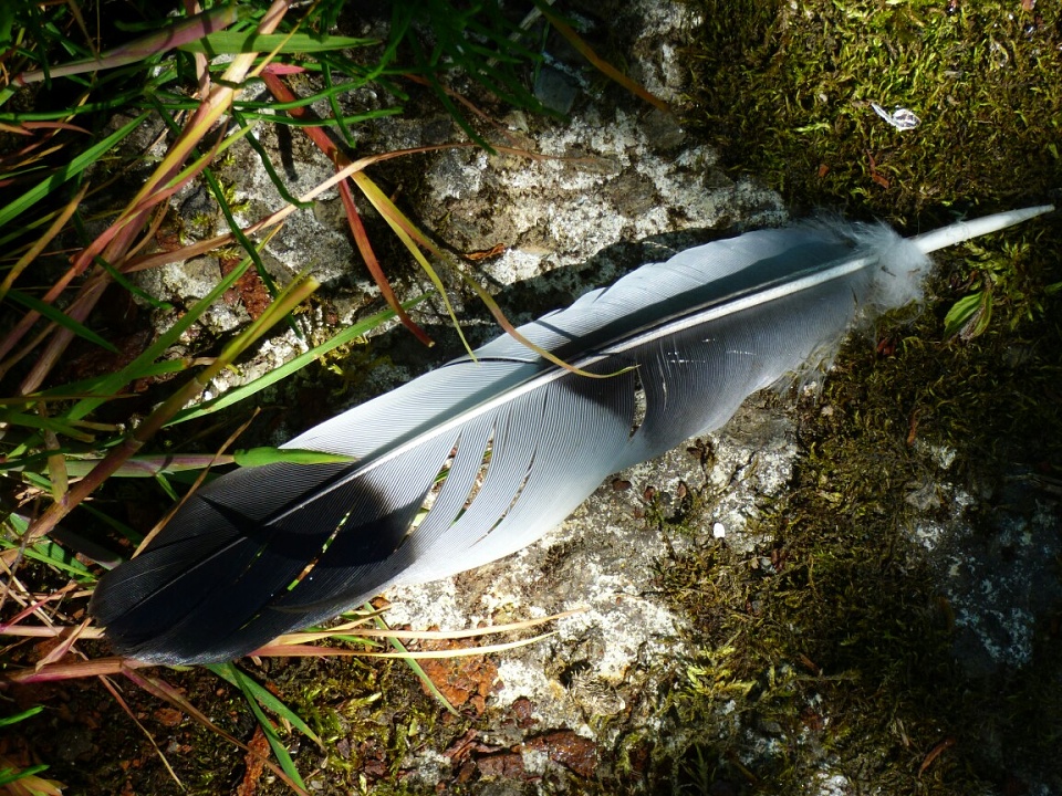 Another scorcher! 13c... | MySisterCissie | Blipfoto