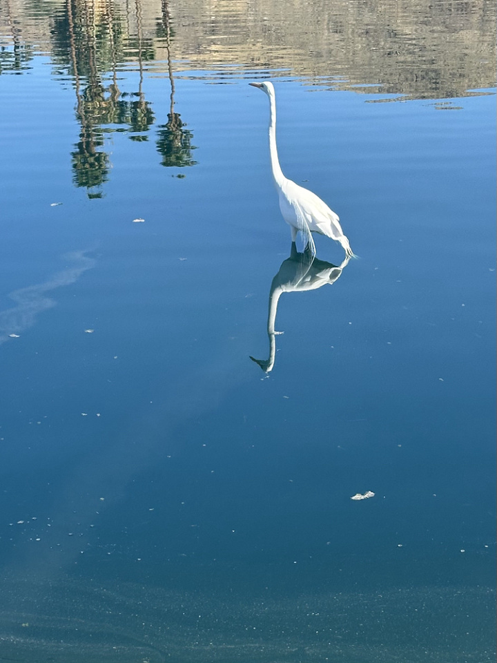 Seeing Double | seniormoments | Blipfoto