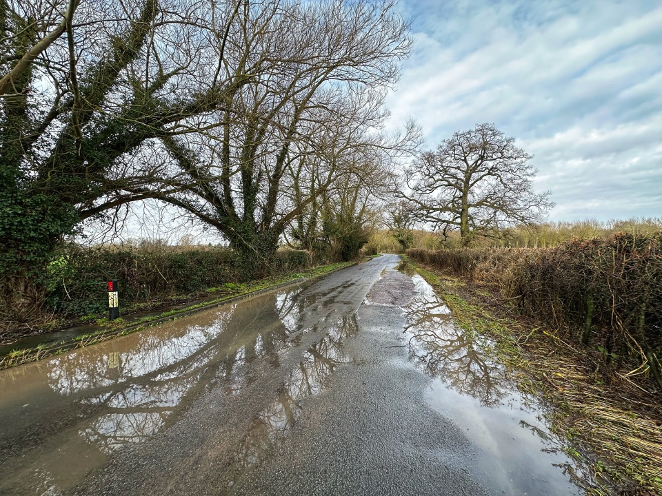 Country Mouse | Technophobe | Blipfoto