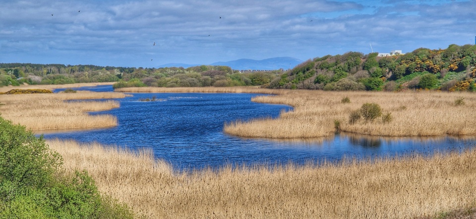 Siddick Ponds | intothehills | Blipfoto